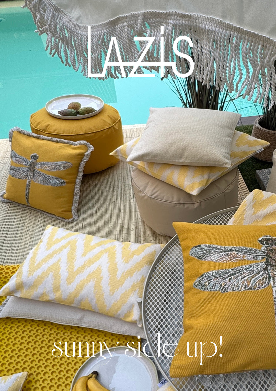 Lazis